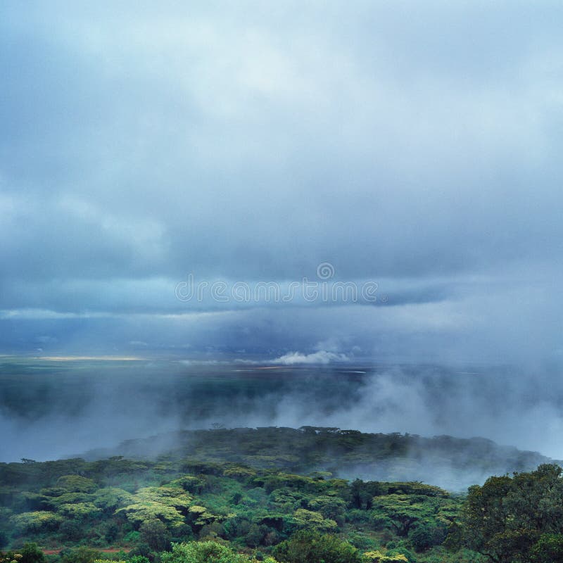 Jungle landscape in gabon stock photo. Image of forest - 157114002