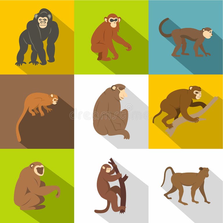 Jungle Monkey Icon Set, Flat Style Stock Vector - Illustration of ...