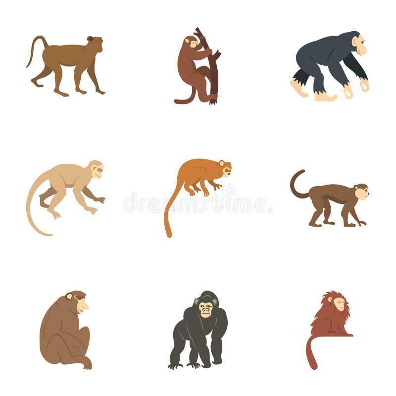 Proboscis Monkey Icon, Cartoon Style Stock Vector - Illustration of ...