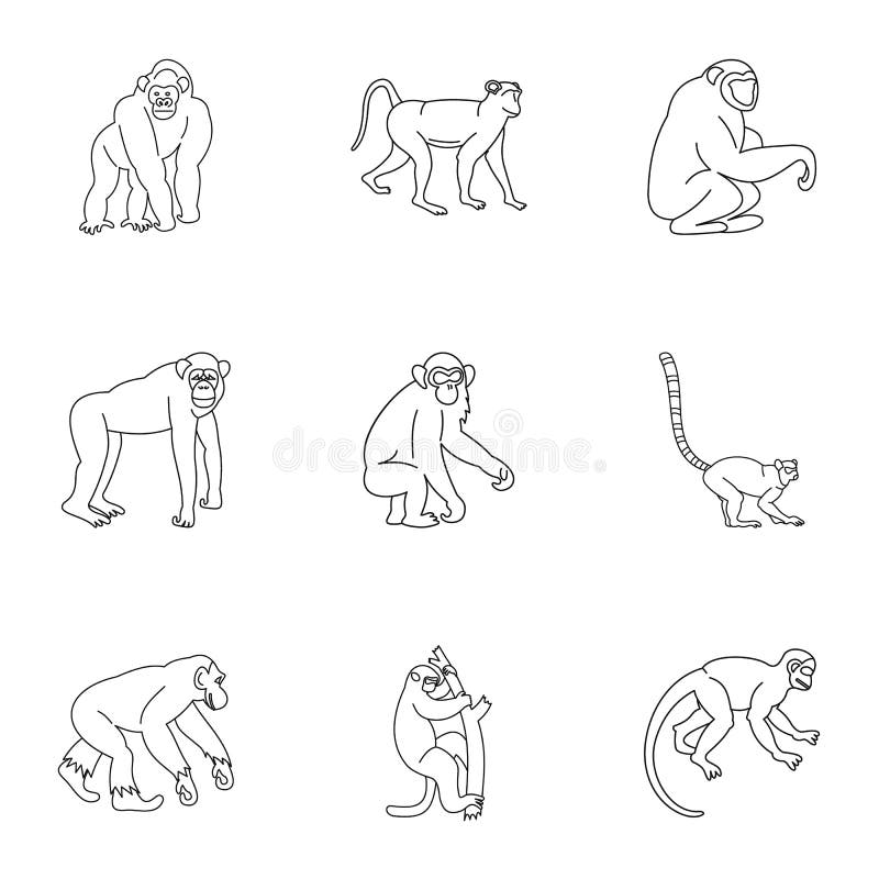 Jungle Monkey Icon Set, Outline Style Stock Vector - Illustration of ...