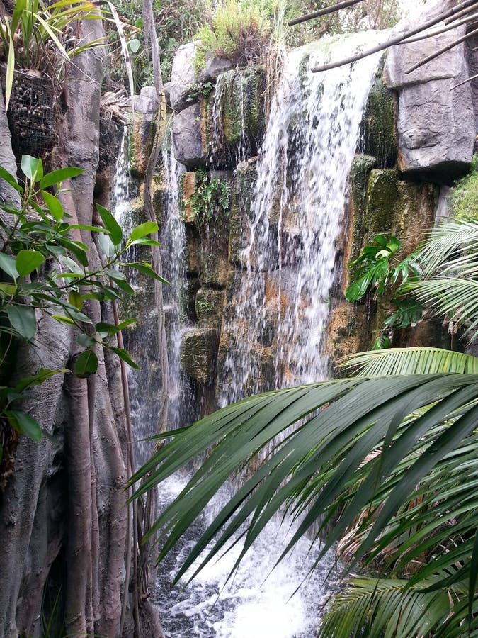 Nice Jungle Greenery Hanging Out Over a Cliff with Islands and B Stock ...