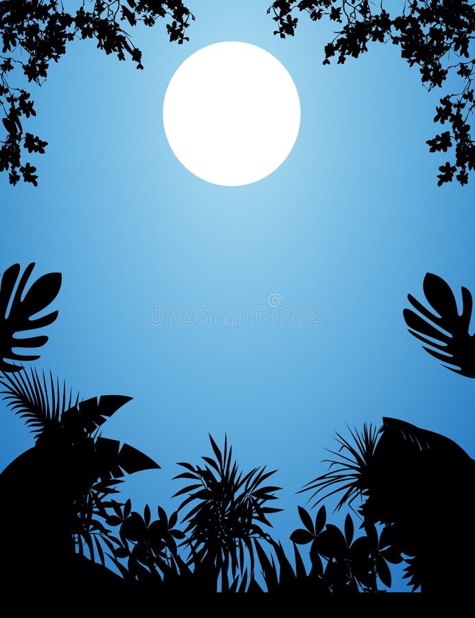 Jungle Night Moon Stock Illustrations – 3,881 Jungle Night Moon Stock ...