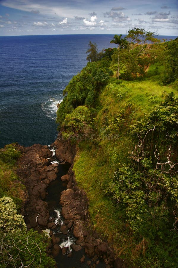 Jungle and ocean of Hawaii stock image. Image of island - 6118705
