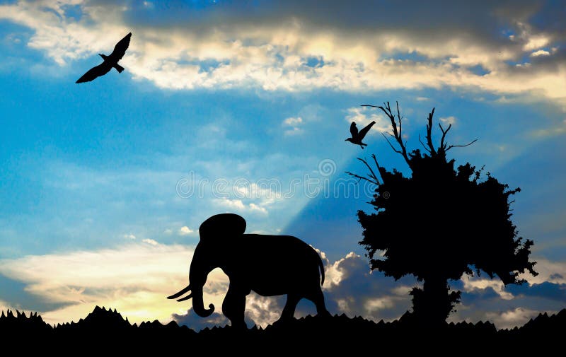 Jungle with Old Tree, Birds and Elephant on Blue Cloudy Sunset Stock ...