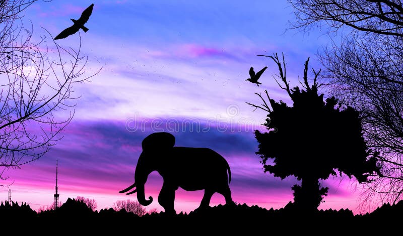 Jungle with Old Tree, Birds and Elephant on Purple Cloudy Sunset Stock ...