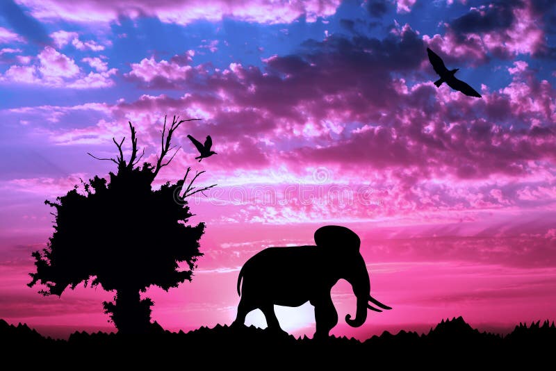 Jungle with Old Tree, Birds and Elephant on Purple Cloudy Sunset Stock ...