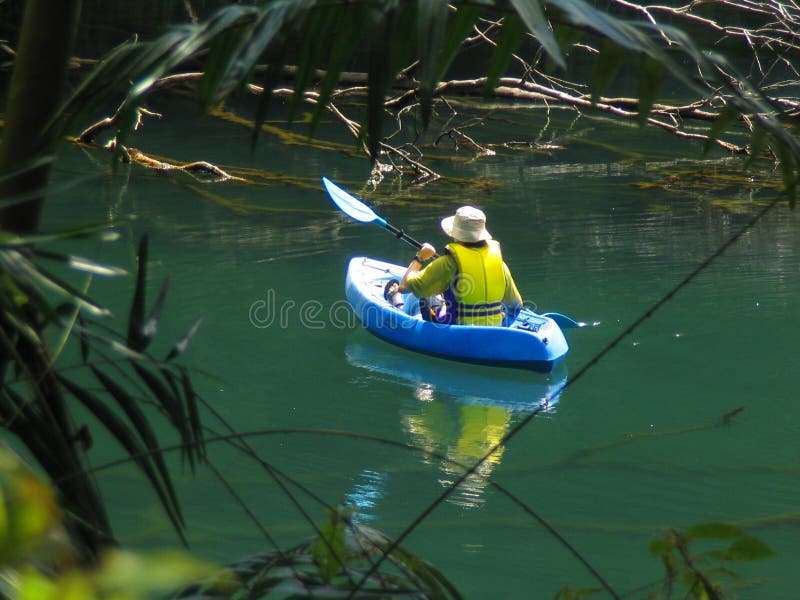 Jungle Paddle stock image. Image of holiday, paddling, nature - 831037