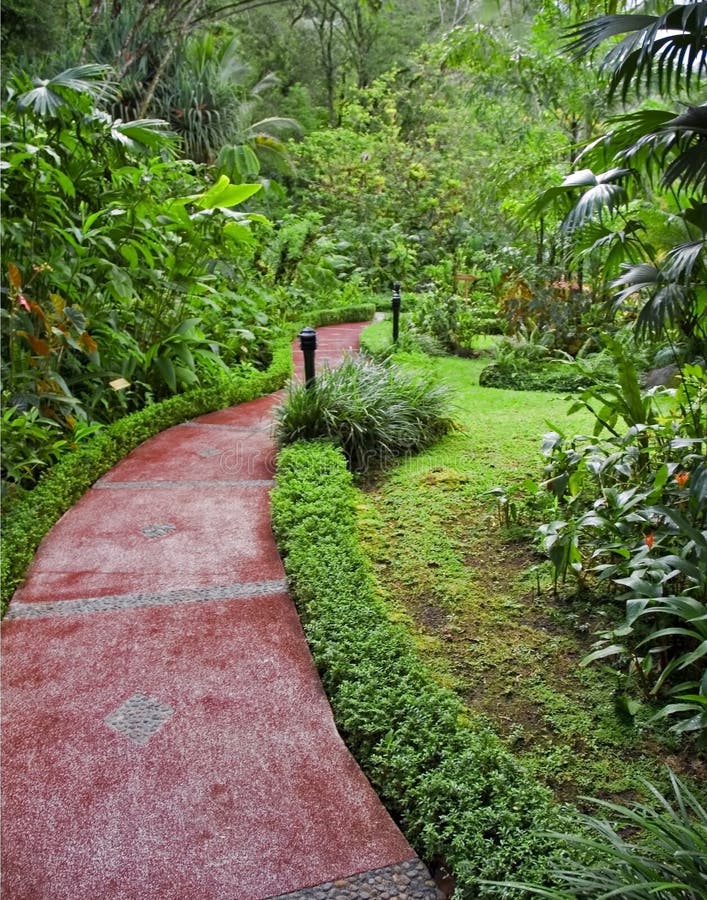 Jungle Pathway stock photo. Image of green, tree, relax - 2374422