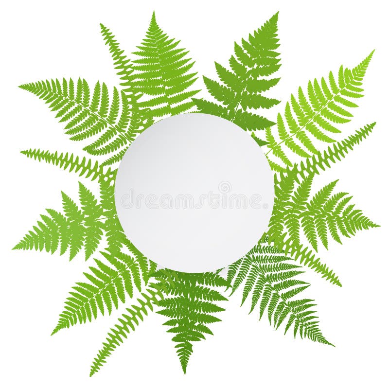 Jungle Poster. Fern Frond Background. Stock Vector - Illustration of ...