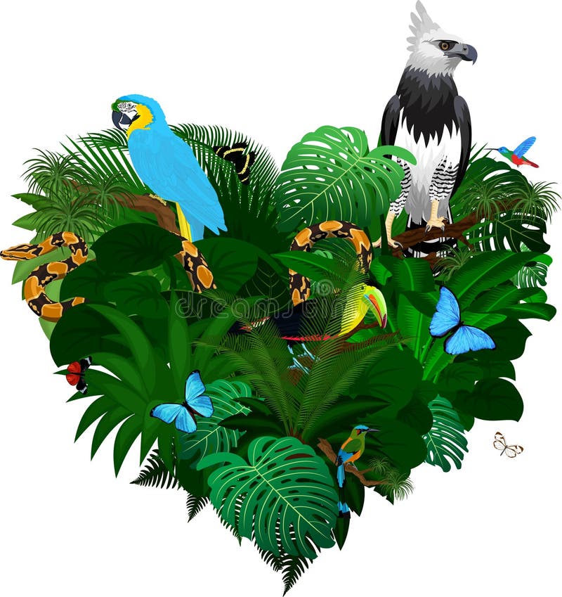 Jungle Rainforest Heart Illustration Stock Vector - Illustration of ...
