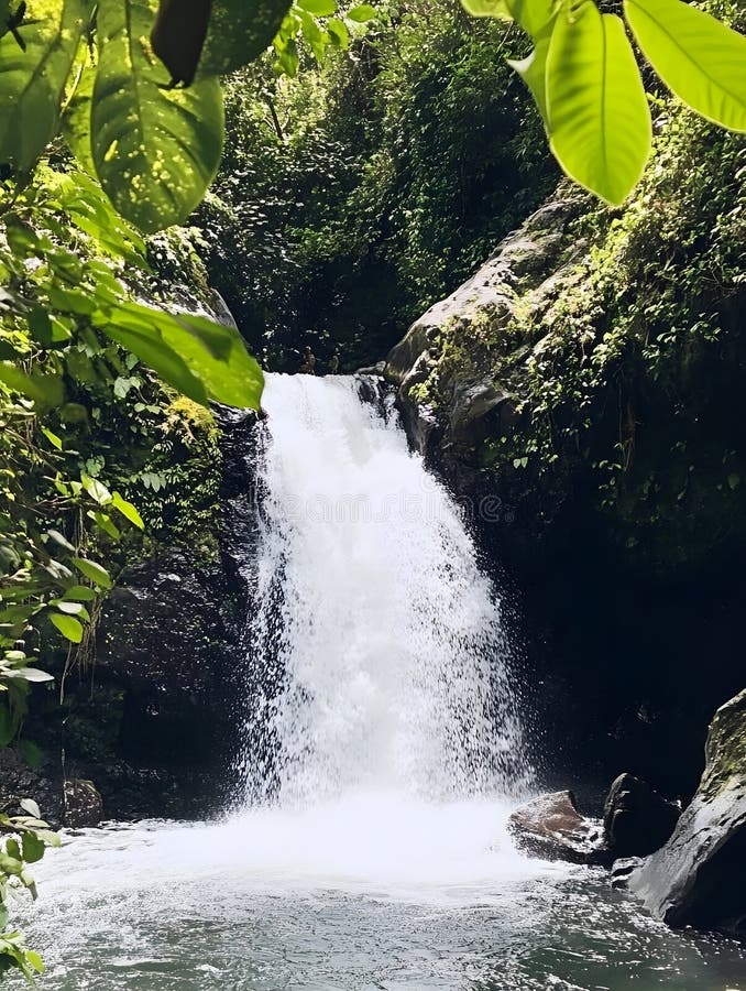 Jungle Rainforest Tropical Waterfall Nature Flowing Water Stock ...