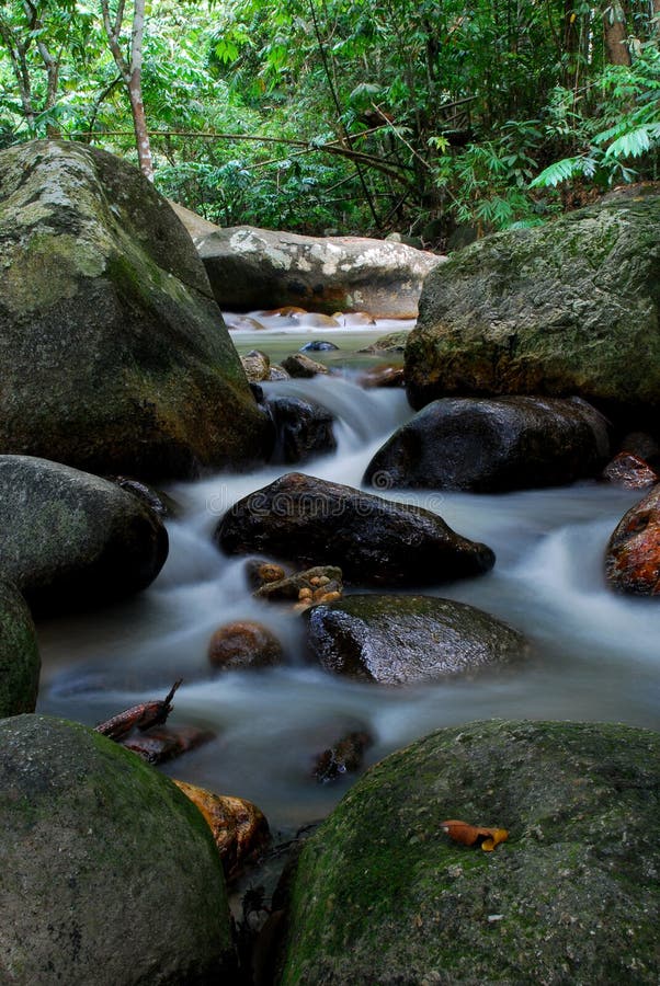 Jungle river stock image. Image of stream, scenery, rock - 2268807
