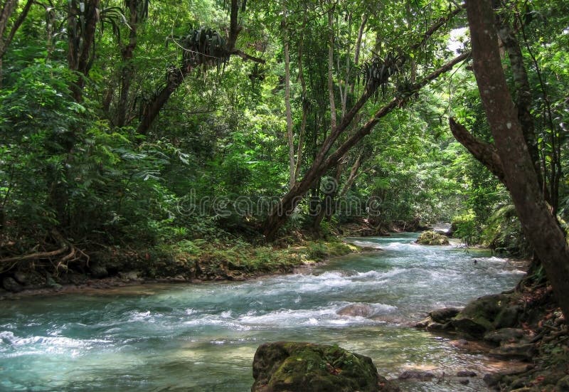 Jungle River in Caribbean stock image. Image of destination - 102666665
