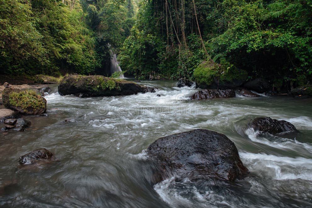Jungle River and Waterfall on Background. Bali, Ubud. Stock Photo ...