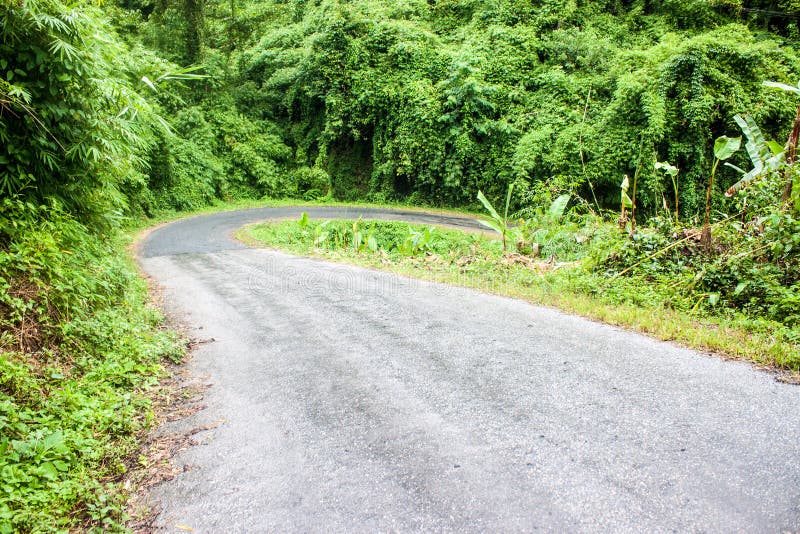 Jungle road stock photo. Image of road, asian, landscape - 35734942