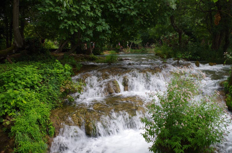 Jungle s clear river stock image. Image of jungle, green - 70825149