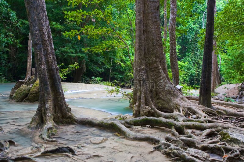 Jungle Scenery stock image. Image of stream, flowing, thailand - 3924617