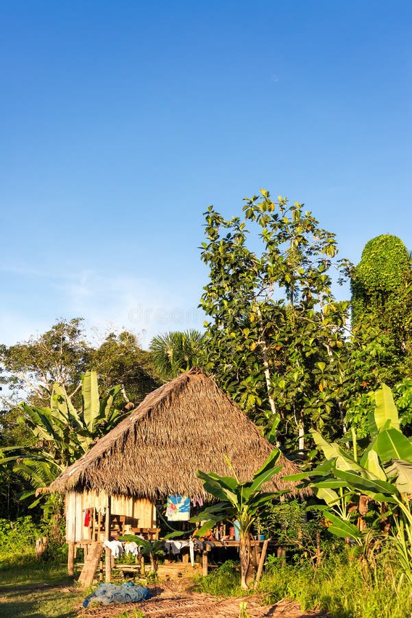 Jungle Shack Vertical View stock image. Image of vacation - 57548651