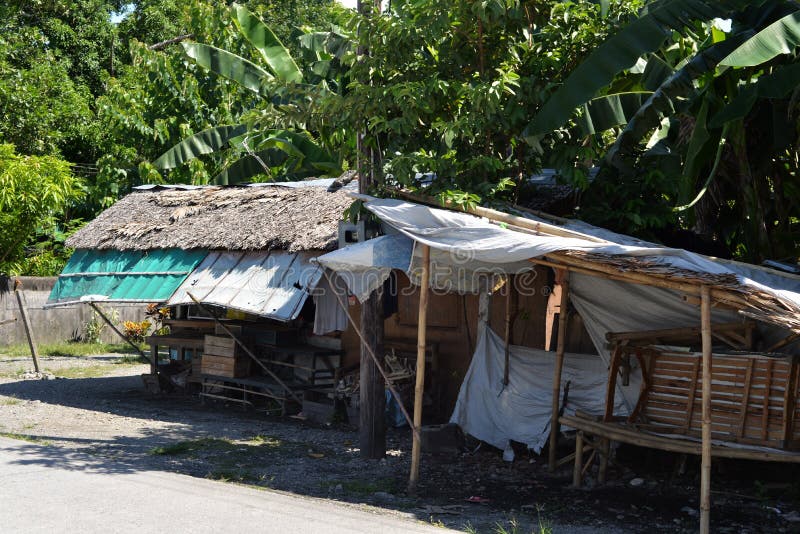 Jungle Shop in the Philippines Editorial Photography - Image of forest ...