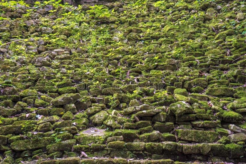 Ancient Jungle Stone House stock photo. Image of century - 69993538