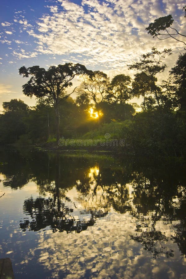 Jungle Sunrise on Amazon River with Reflection in Water Stock Image ...