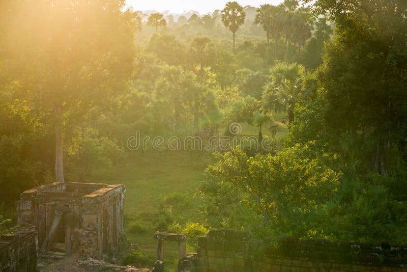 Jungle sunset stock image. Image of meadow, nature, sunset - 36672999