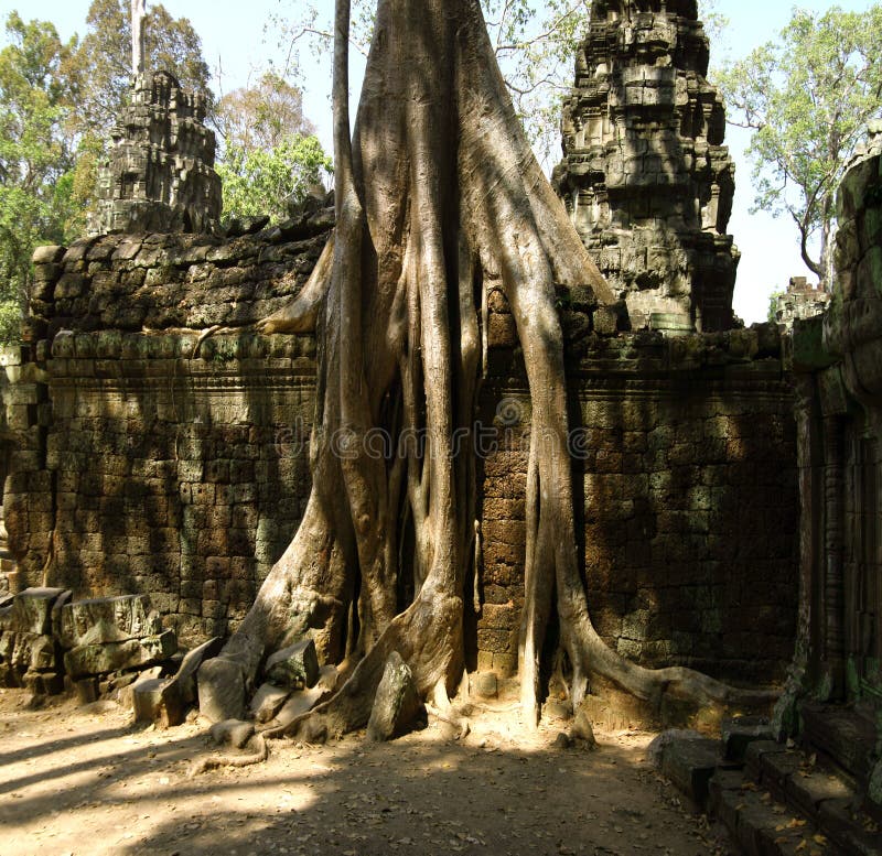 Jungle Surround Temple of Angkor Wat Stock Photo - Image of jungle ...