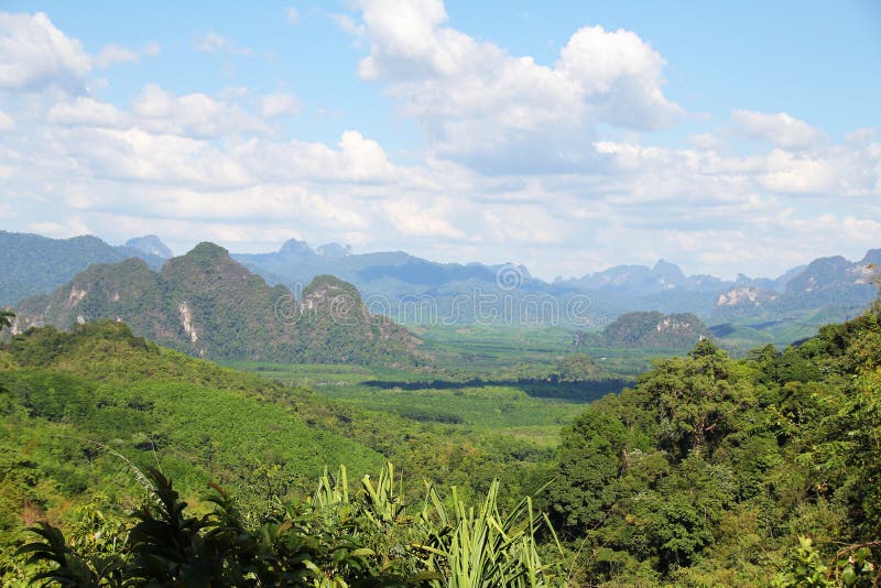 The Jungle of Thailand 002 stock image. Image of background - 137274897