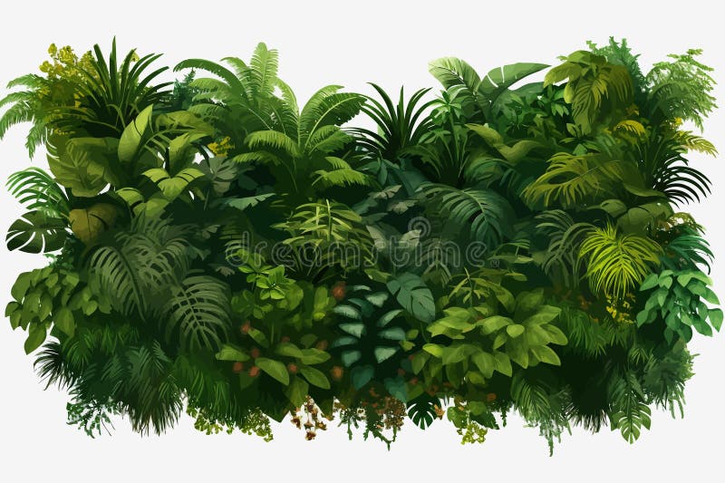 Jungle Top View Air Photo Vector Flat Isolated Illustration Stock ...