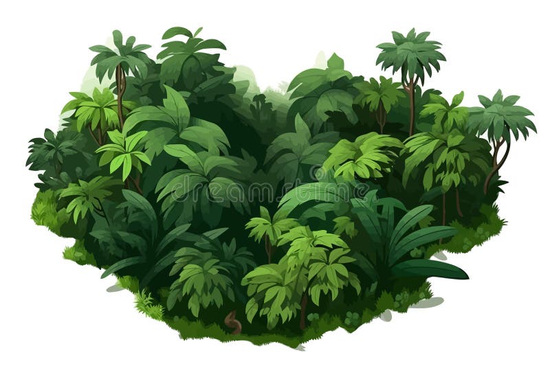 Jungle Top View Air Photo Vector Flat Isolated Illustration Stock ...