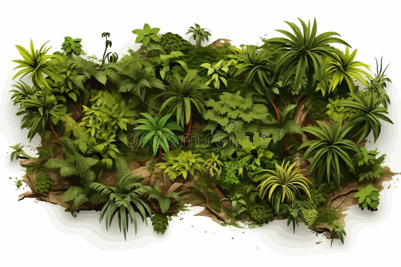 Jungle Top View Air Photo Vector Flat Isolated Illustration Stock ...