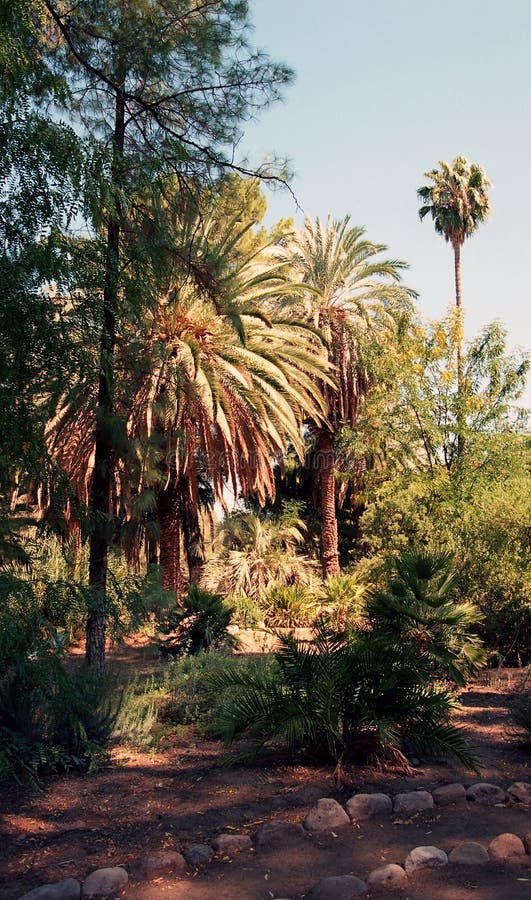 Jungle Trail 2 stock image. Image of path, island, ocean - 1989455