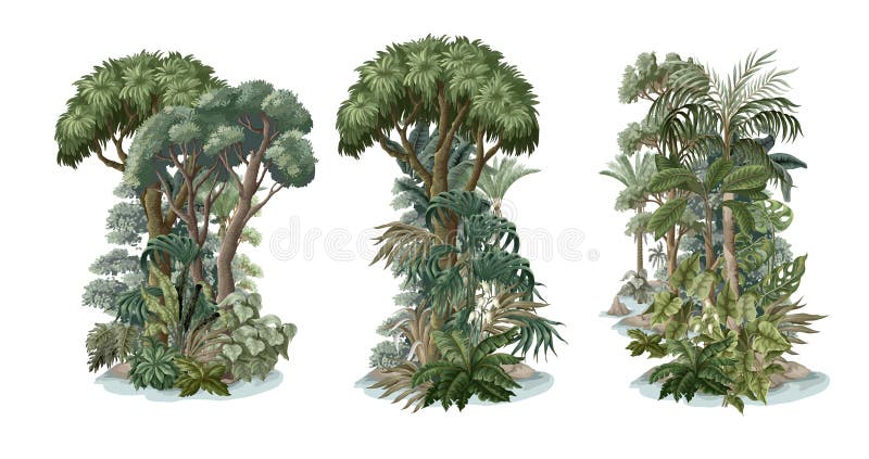 Jungle Trees and Plants Isolated. Vector. Stock Vector - Illustration of repeat, botanical ...
