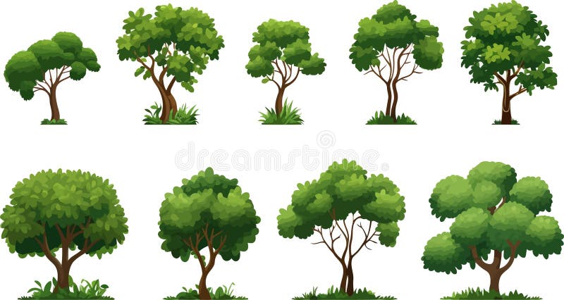 Jungle Trees Set Isolated Vector Style Illustration Stock Vector ...