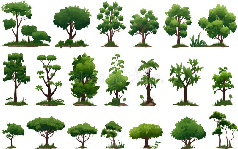 Jungle Trees Set Isolated Vector Style Illustration Stock Vector ...