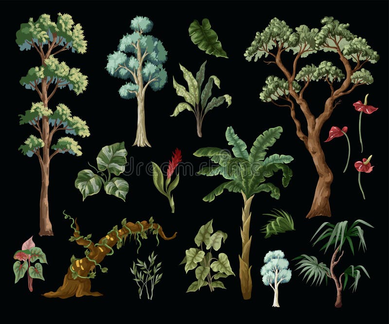 Jungle Trees and Tropical Plant Isolated. Vector. Stock Vector ...