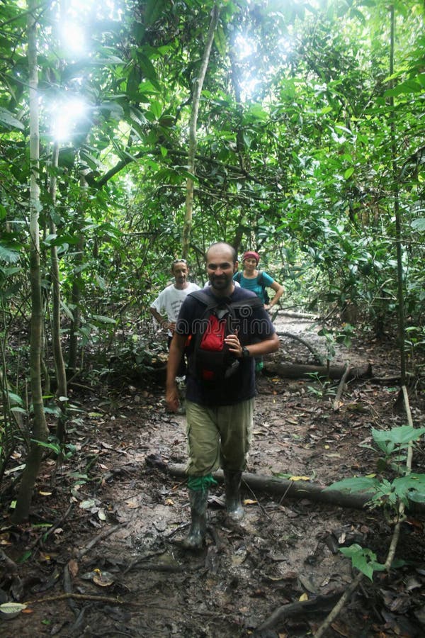 Jungle trekking editorial stock photo. Image of forest - 18035283