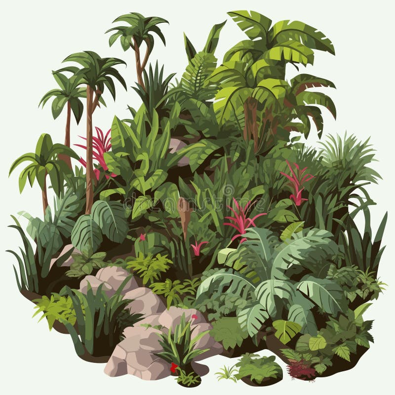 Rainforest Vegetation Set Vector Flat Isolated Vector Style ...