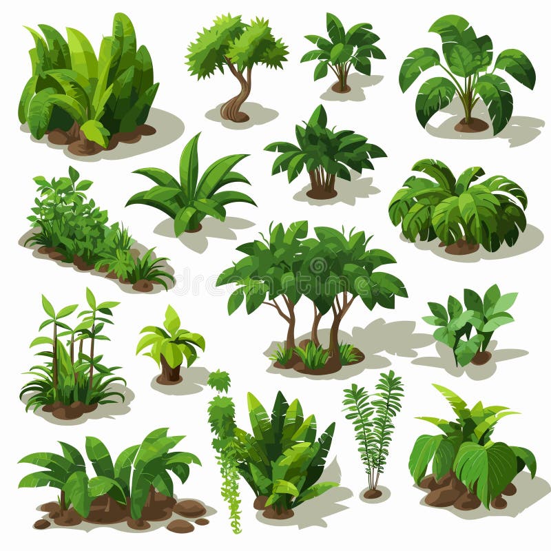 Jungle Vegetation Set Isometric Vector Flat Isolated Illustration Stock ...