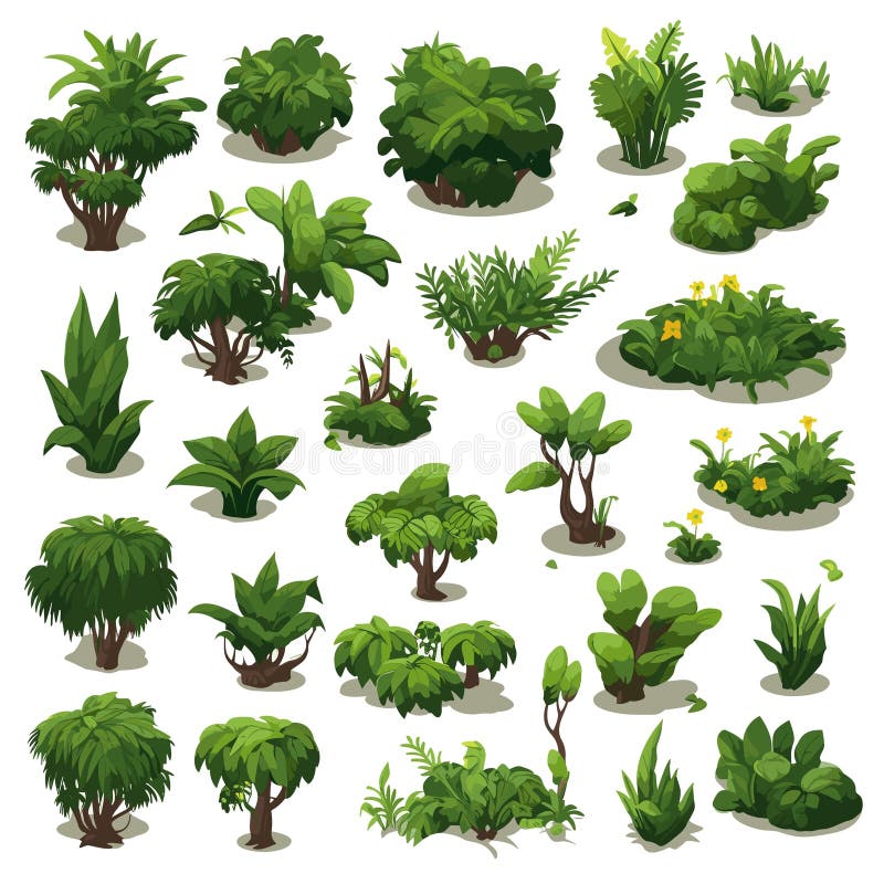 Jungle Vegetation Set Isometric Vector Flat Isolated Illustration Stock ...