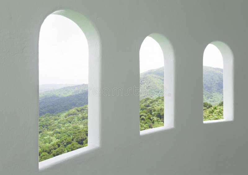 Jungle view stock photo. Image of puerto, national, flora - 37281382