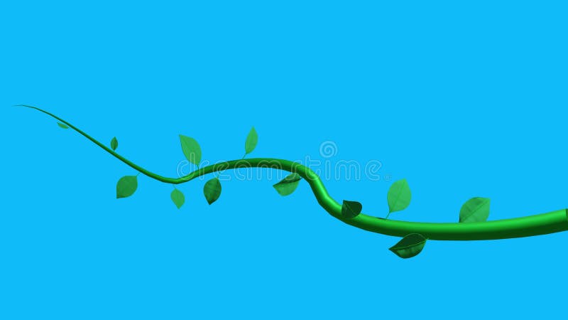 Jungle Vines Animation Growing Elements on Blue Screen Chroma Key Stock ...