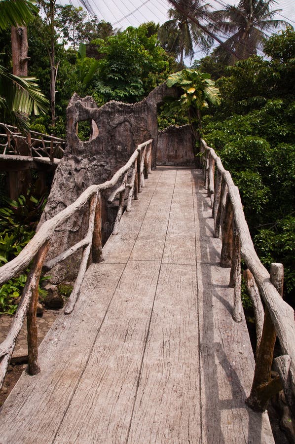 Jungle walkway stock photo. Image of extreme, outdoor - 20779406