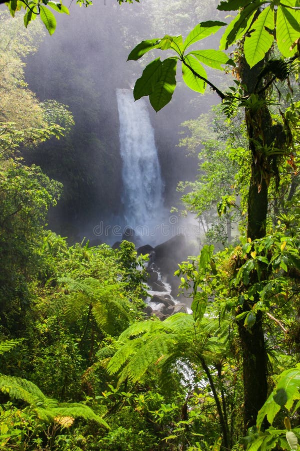 Jungle waterfall stock photo. Image of exploration, power - 68649652
