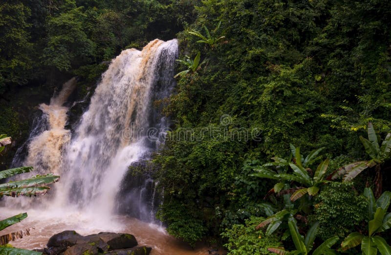 The Jungle with a Waterfall-River-rocks-covered-with Rainy Forest ...
