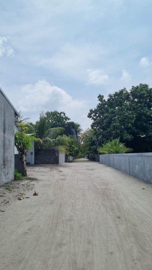 Jungle Woods Walk Path Way in Maldives Stock Image - Image of natural ...