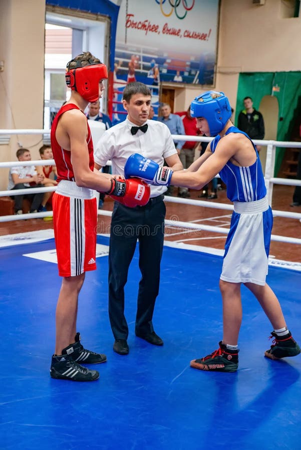Junior Boxing Competition in Barnaul Editorial Image - Image of boxers ...