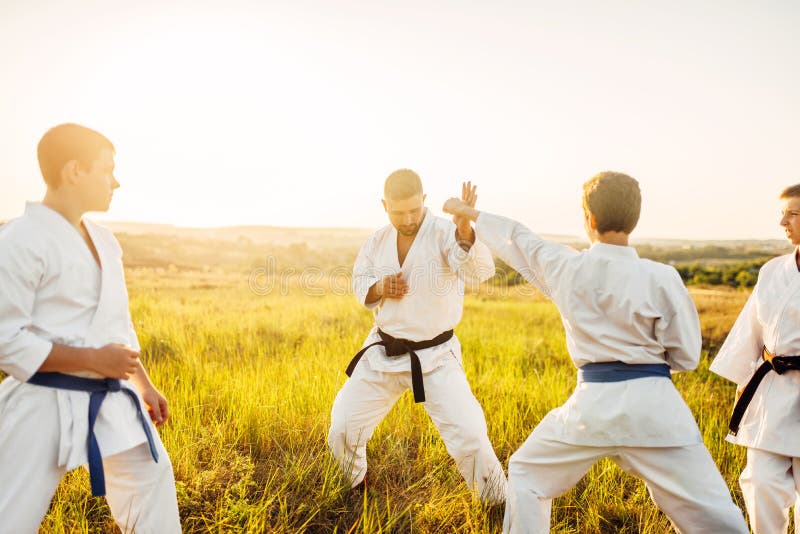 Junior Karate Fighters with Master, Skill Training Stock Image - Image ...