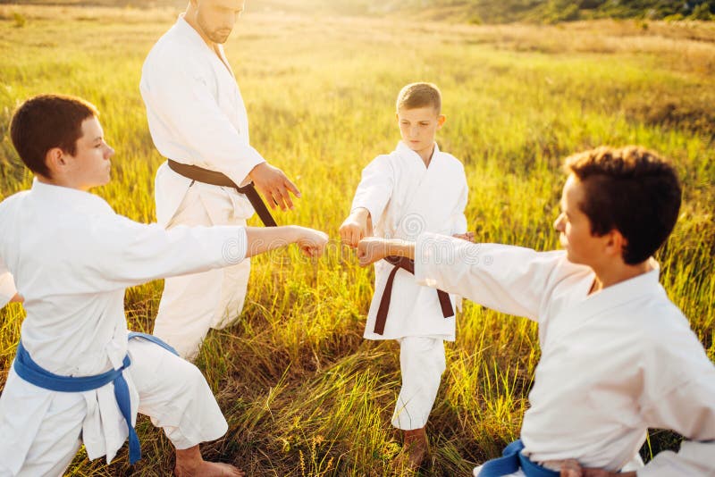 Karate Team on Training with Master in Field Stock Photo - Image of ...