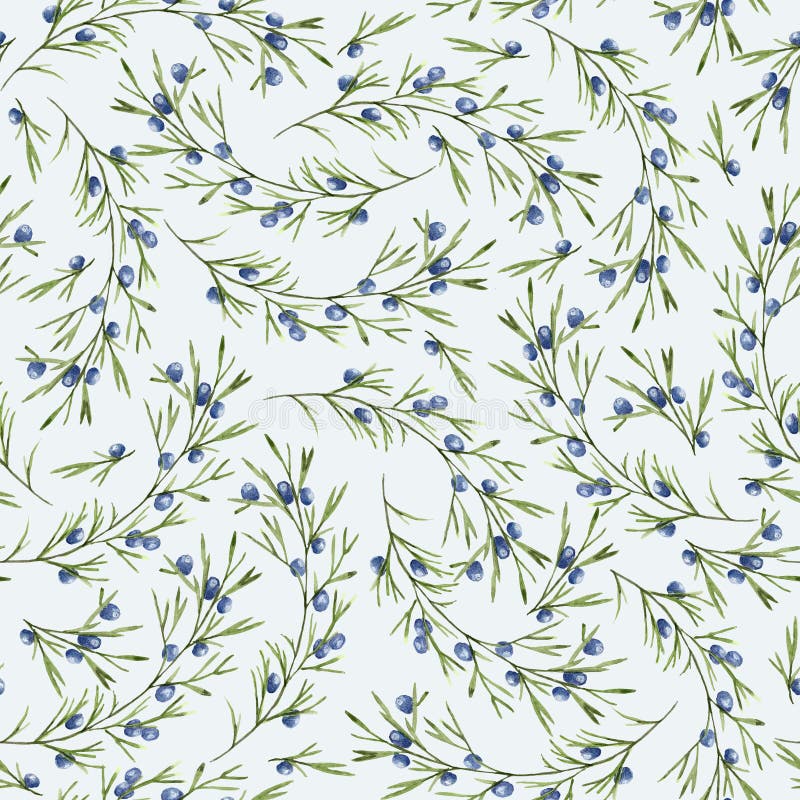 Juniper with Berries Branches Watercolor Seamless Pattern Stock ...